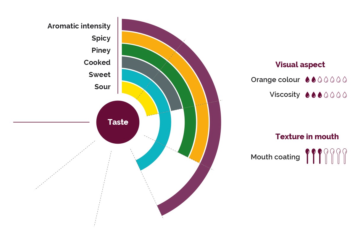 Seeking Creative Inspiration Through Sensory Analysis | Pastry Arts