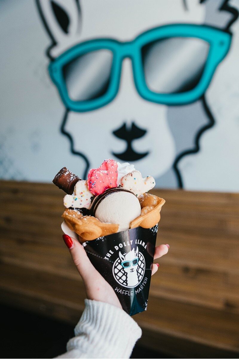 The Dolly Llama in Los Angeles, CA | Pastry Arts